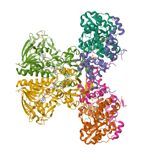 RCSB PDB - 8RWN: CryoEM structure of the Hdr(ABC)2 subunits of the Elp ...