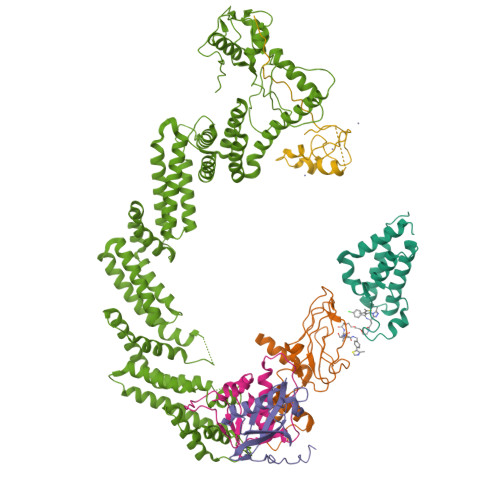 RCSB PDB - 8RWZ: Open non-crosslinked structure Brd4BD2-MZ1-(NEDD8)-CRL2VHL