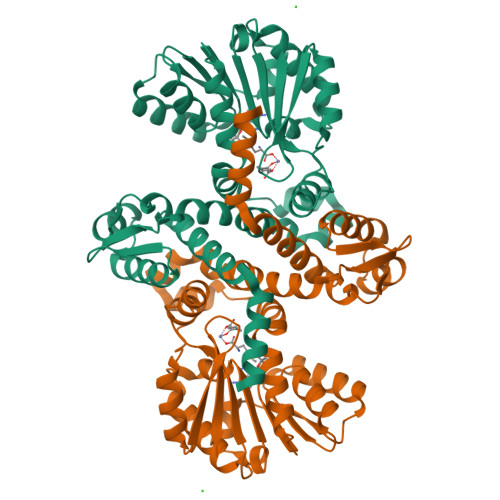 RCSB PDB - 8RXG: Crystal structure of alpha-keto C-methyl transferase ...