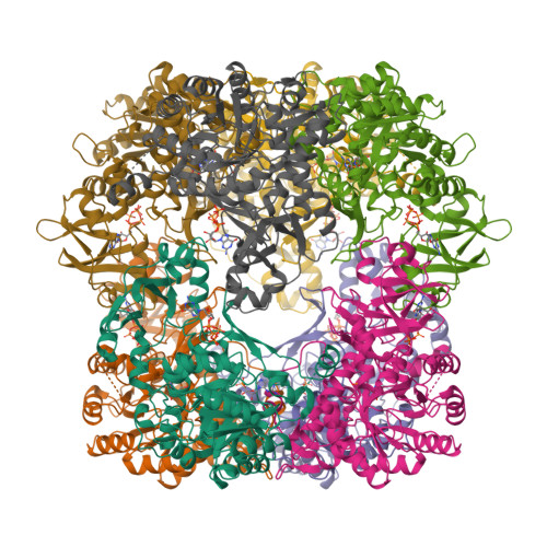 RCSB PDB - 8RY3: CryoEM structure of M. smegmatis GMP reductase in ...