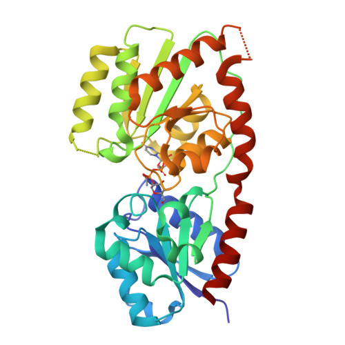 RCSB PDB - 8RZ3: Structures of Se- glycosyltransferase SenB from ...