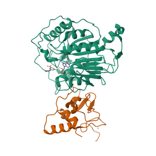 RCSB PDB - 8RZE: SARS-CoV-2 nsp16-nsp10 in complex with SAM derivative ...