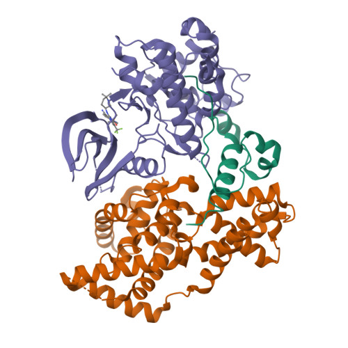 RCSB PDB - 8S0T: Cryo-EM structure of CAK in complex with SY-5609