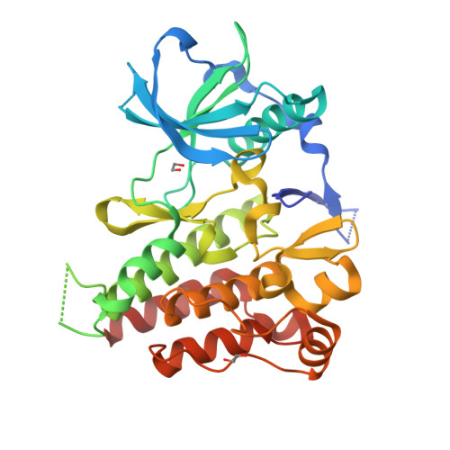RCSB PDB - 8S13: apo c-KIT-wt kinase domain