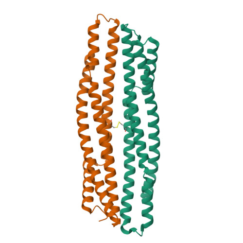 RCSB PDB - 8S2F: Crystal structure of Borrelia burgdorferi paralogous ...