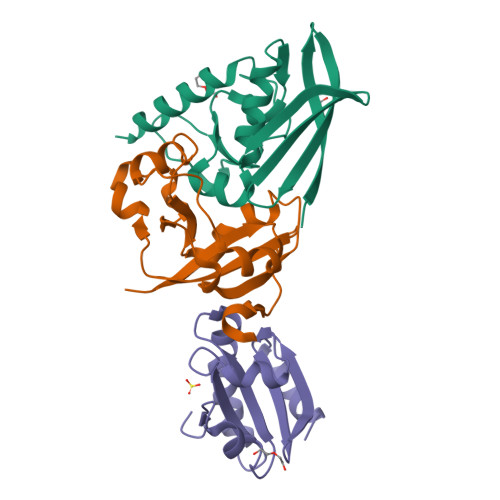RCSB PDB - 8S2N: Xenorhabdus bovienii Rhs toxin TreTu complex with TrxA ...