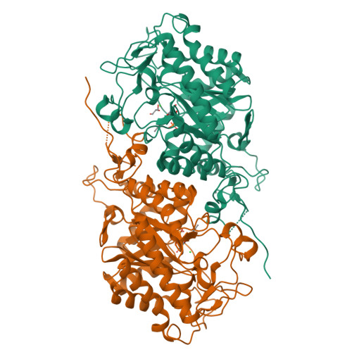 RCSB PDB - 8S4P: Crystal structure of an Ene-reductase from Penicillium ...