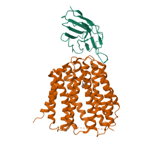 RCSB PDB - 8S62: Cryo-EM structure of amprolium-bound human SLC19A3 in ...