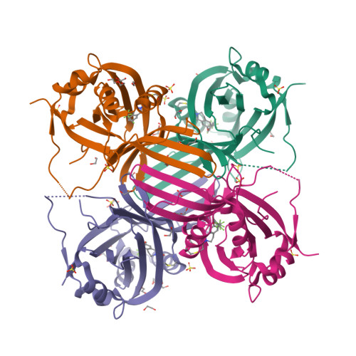 RCSB PDB - 8S6Y: Co-crystal structure of TEAD1 with OPN-9652