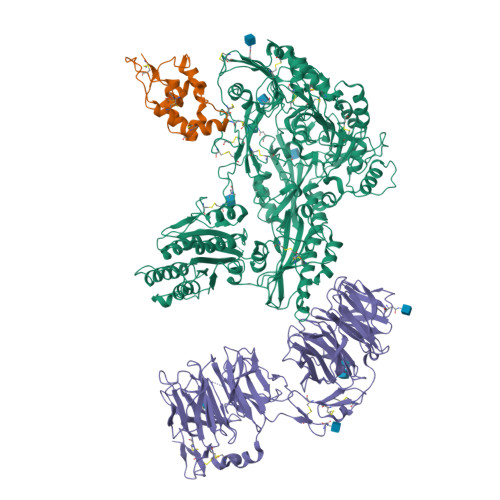 RCSB PDB - 8S7C: Ternary Complex of Cachd1, FZD5 and LRP6