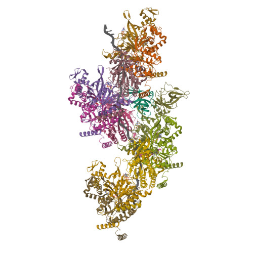 RCSB PDB - 8S7G: Cryo-EM structure of Pseudomonas aeruginosa ...