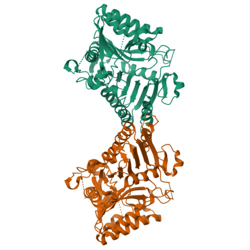 RCSB PDB - 8S86: human PLD3 homodimer structure