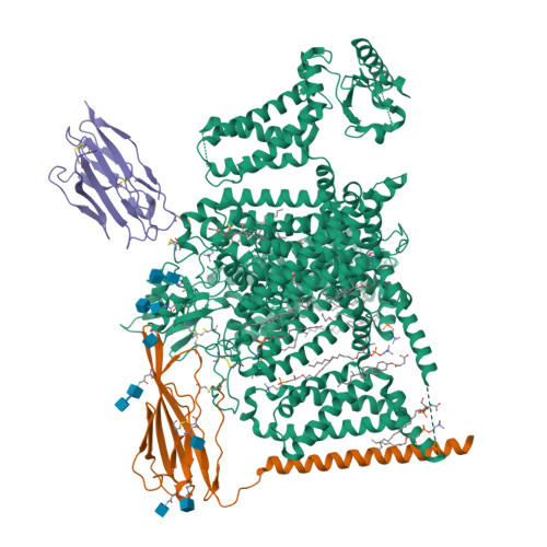 RCSB PDB - 8S9B: Cryo-EM structure of Nav1.7 with LCM