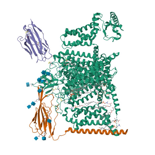 RCSB PDB - 8S9C: Cryo-EM structure of Nav1.7 with CBZ
