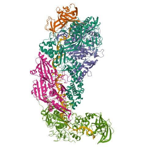 RCSB PDB - 8S9T: CRISPR-Cas type III-D effector complex