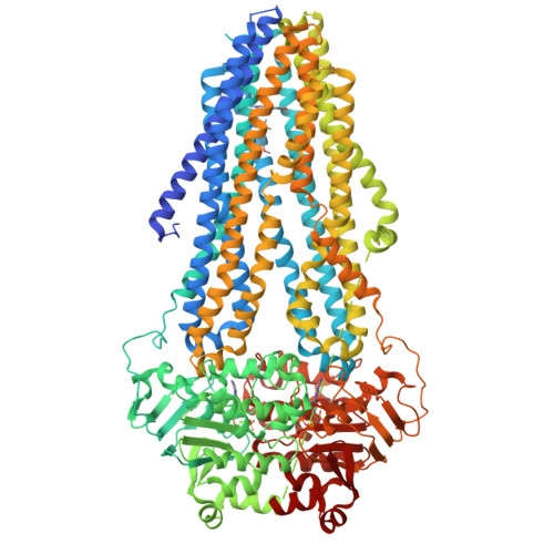 RCSB PDB - 8SA0: CryoEM structure of P-Glycoprotein in occluded closed ...