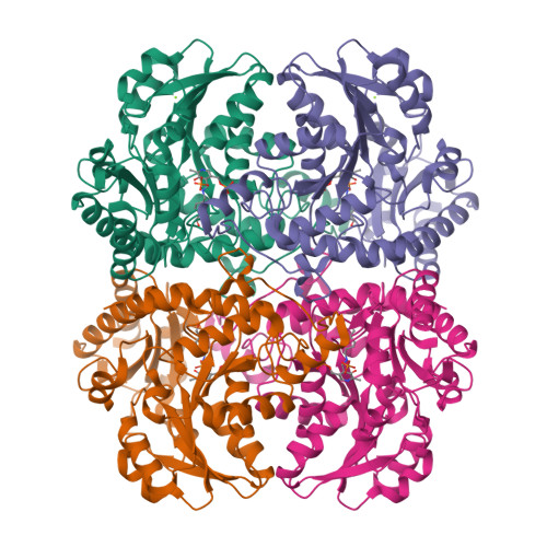 RCSB PDB - 8SAA: Crystal Structure of Cystathionine beta lyase from ...