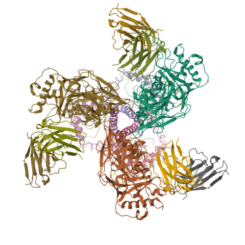 RCSB PDB - 8SAL: CryoEM structure of VRC01-CH848.0358.80