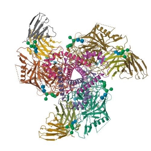 RCSB PDB - 8SAN: CryoEM structure of VRC01-CH848.0836.10