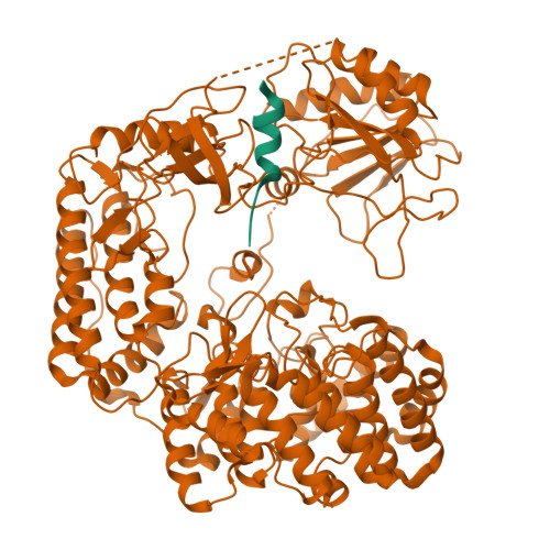 RCSB PDB - 8SAO: Crystal structure of class III lanthipeptide ...