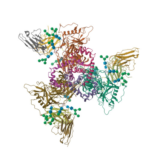 RCSB PDB - 8SAS: CryoEM structure of DH270.5-CH848.10.17