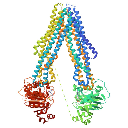 RCSB PDB - 8SB7: CryoEM structure of P-Glycoprotein in inward facing 1 ...