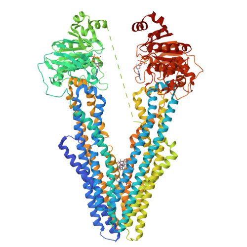 RCSB PDB - 8SB9: CryoEM structure of P-Glycoprotein in inward facing 1 ...