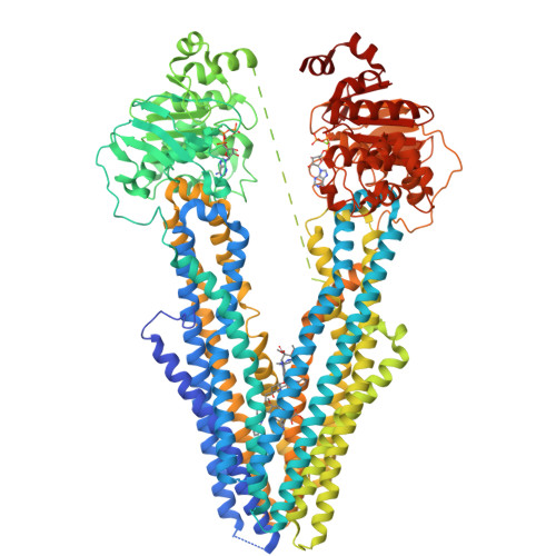 RCSB PDB - 8SBA: CryoEM structure of P-Glycoprotein in inward facing 2 ...