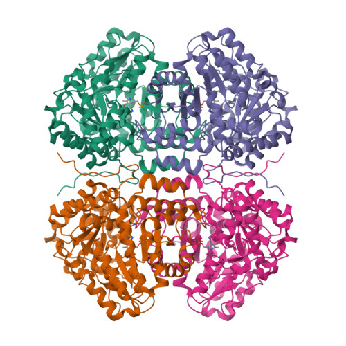 RCSB PDB - 8SBG: Crystal structure of B. theta tryptophanase in holo form