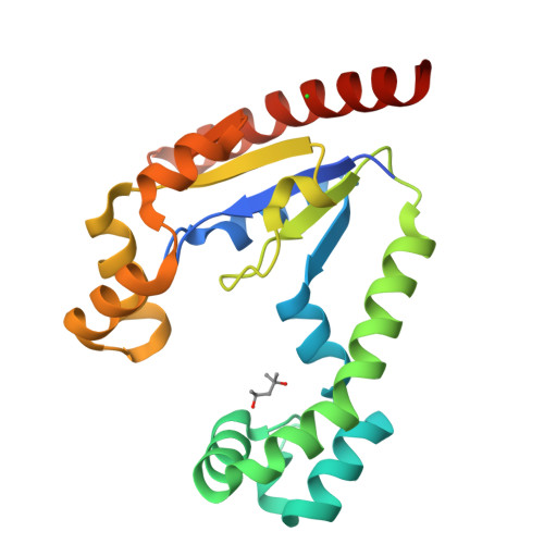 RCSB PDB - 8SBO: Crystal Structure of Dephospho-CoA kinase from ...