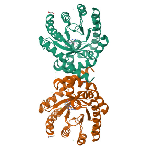 RCSB PDB - 8SCD: Crystal structure of sulfonamide resistance enzyme ...