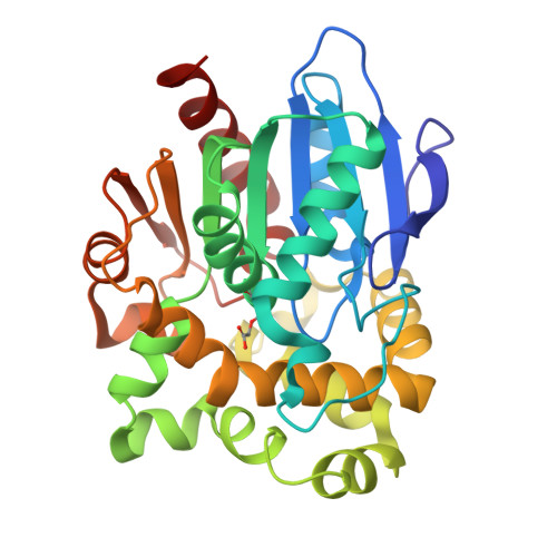 RCSB PDB - 8SDD: Crystal structure of fluoroacetate dehalogenase ...