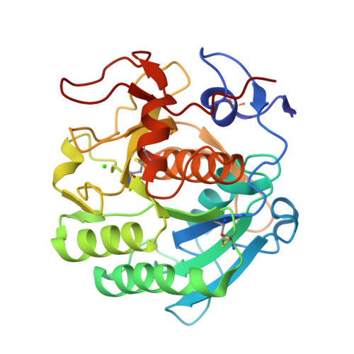 RCSB PDB - 8SDK: The MicroED structure of proteinase K crystallized by ...