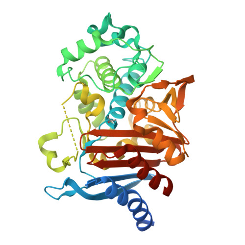RCSB PDB - 8SDN: Crystal structure of PDC-3 Y221H beta-lactamase