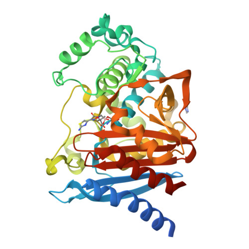 RCSB PDB - 8SDR: Crystal structure of PDC-3 beta-lactamase in complex ...