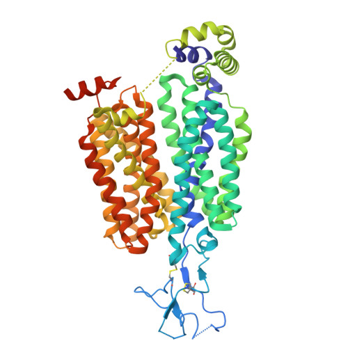 RCSB PDB - 8SDU: Structure of rat organic anion transporter 1 (OAT1)