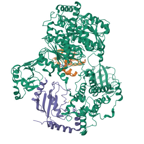 RCSB PDB - 8SEB: Cryo-EM structure of a single loaded human UBA7-UBE2L6 ...