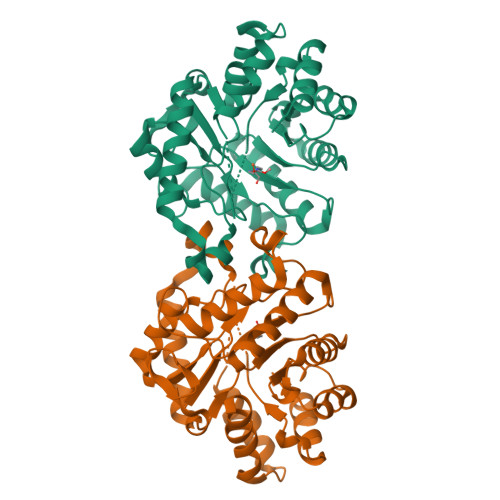 RCSB PDB - 8SF9: Crystal structure of the engineered SsoPox variant IG7 ...