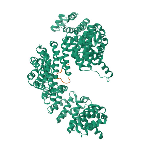 RCSB PDB - 8SGH: Cryo-EM structure of Karyopherin-beta2 bound to ...