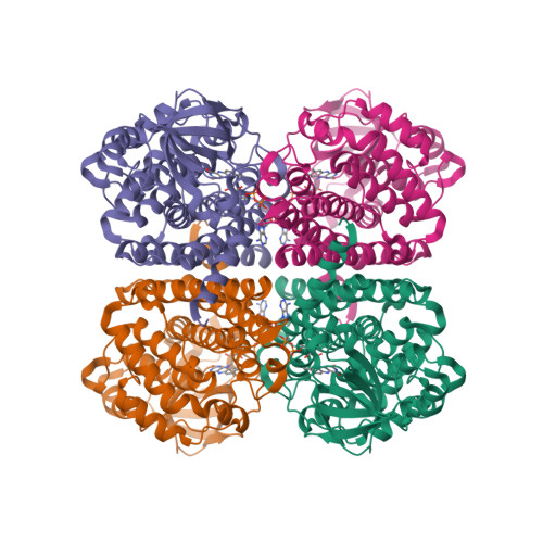 RCSB PDB - 8SGR: human liver mitochondrial Isovaleryl-CoA dehydrogenase