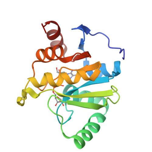 RCSB PDB - 8SH8: Crystal structure of SARS-CoV-2 NSP3 macrodomain ...
