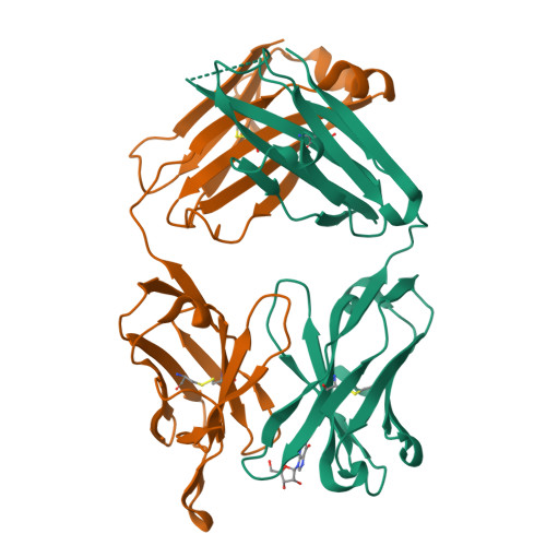 RCSB PDB - 8SIP: Structure of a mouse IgG antibody fragment that binds ...