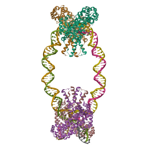 RCSB PDB - 8SJD: Cryo-EM structure of the Hermes transposase bound to ...