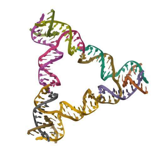 RCSB PDB - 8SJS: [3T18] Self-assembling right-handed tensegrity ...