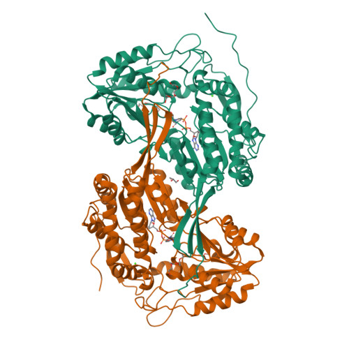 RCSB PDB - 8SKF: Crystal Structure of Betaine aldehyde dehydrogenase ...