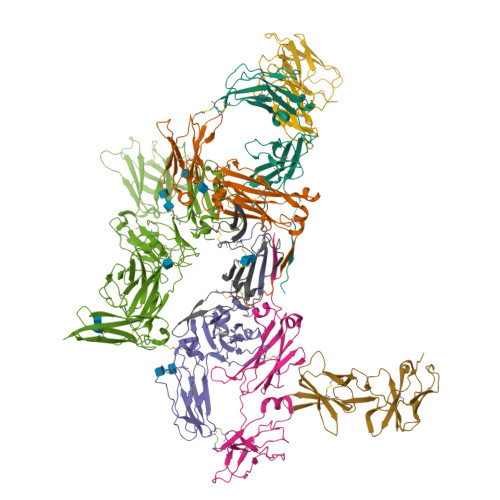 RCSB PDB - 8SKU: Structure of human SIgA1 in complex with human CD89 ...