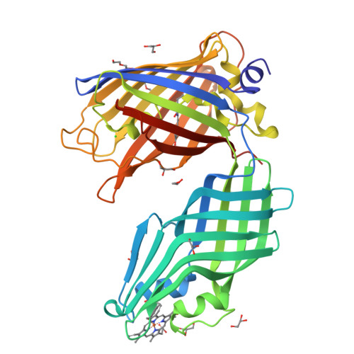 RCSB PDB - 8SMU: Integral fusion of the HtaA CR2 domain from ...