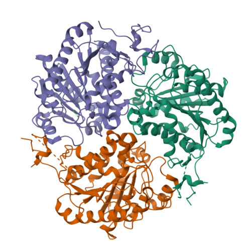 RCSB PDB - 8SNF: Crystal structure of metformin hydrolase (MfmAB) from ...