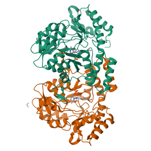 RCSB PDB - 8SNG: Crystal Structure of ArnB Transferase from Klebsiella ...