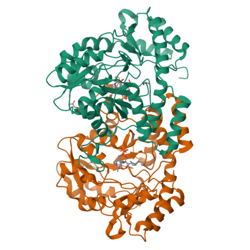 RCSB PDB - 8SNJ: Crystal Structure of ArnB Transferase from Klebsiella ...